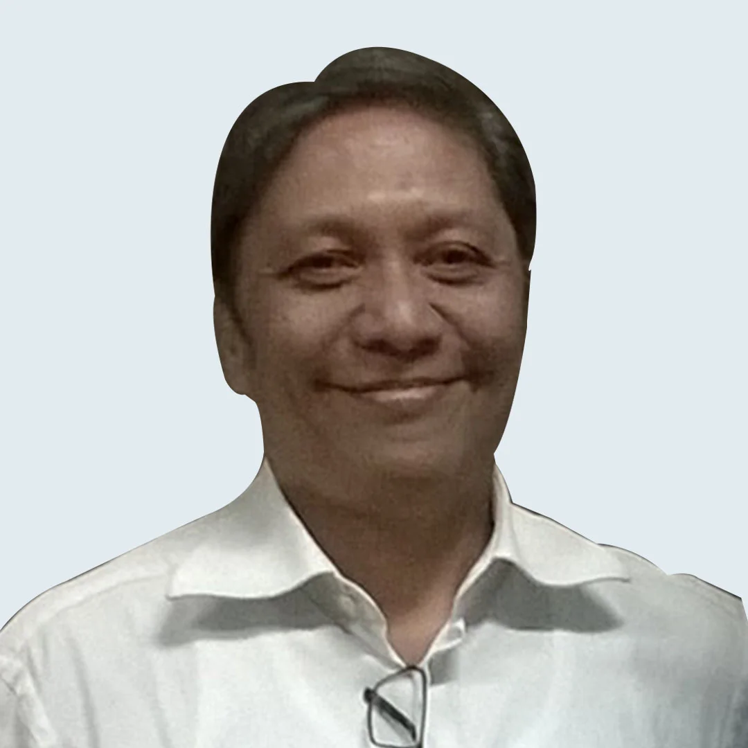 REYMAR MANSILUNGAN - PDP Laban
